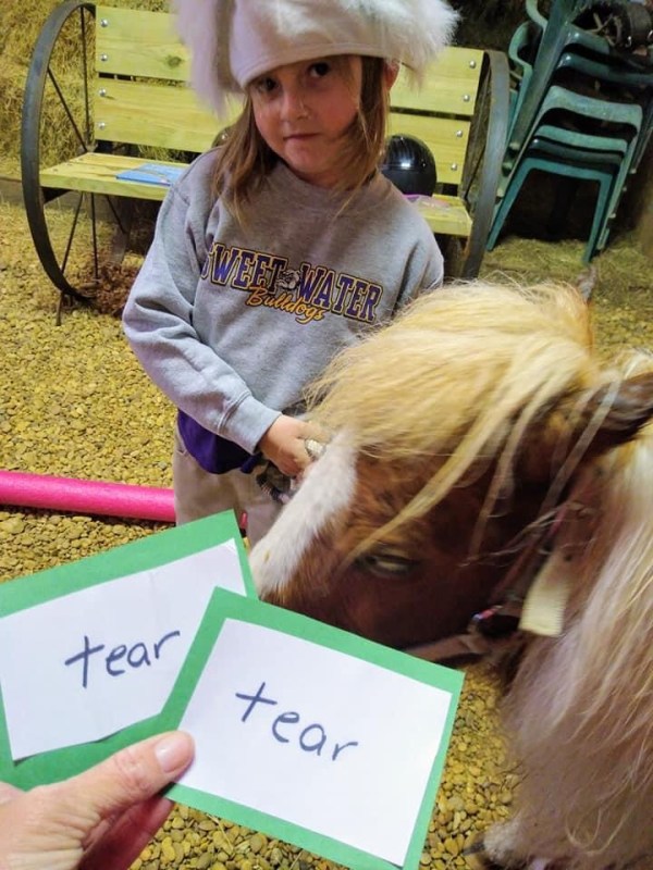 Healing for the Mind, Body, and Spirit: HIPPO Therapy – Southwest ...